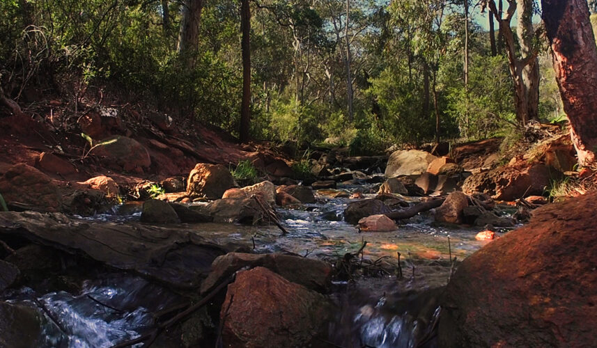 Exhibitions on Screen | Colours of Djilba | screenarts