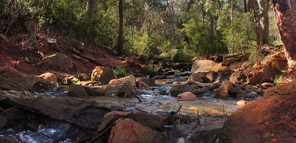 Noongar Six Seasons Slow TV | Colours of Djilba | screenarts